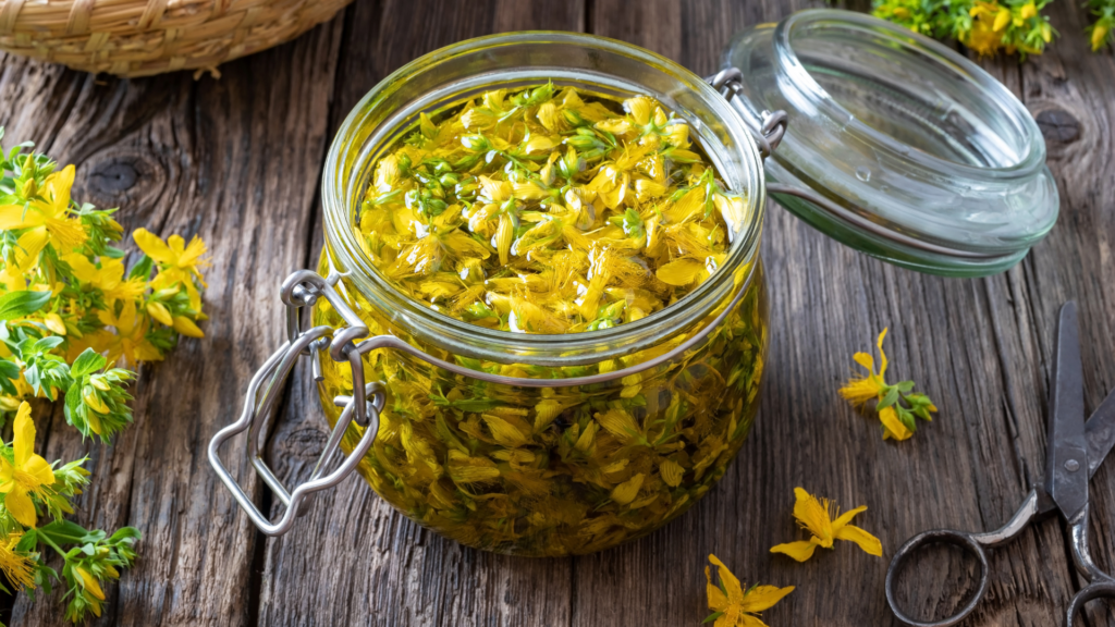 Johanniskraut Tinktur Selber Machen